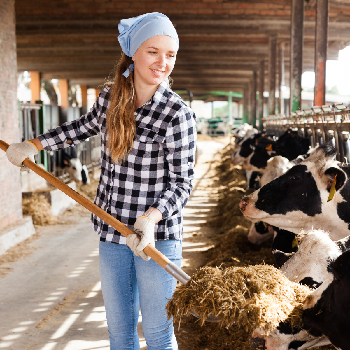 Career Pathways - YA Wisconsin